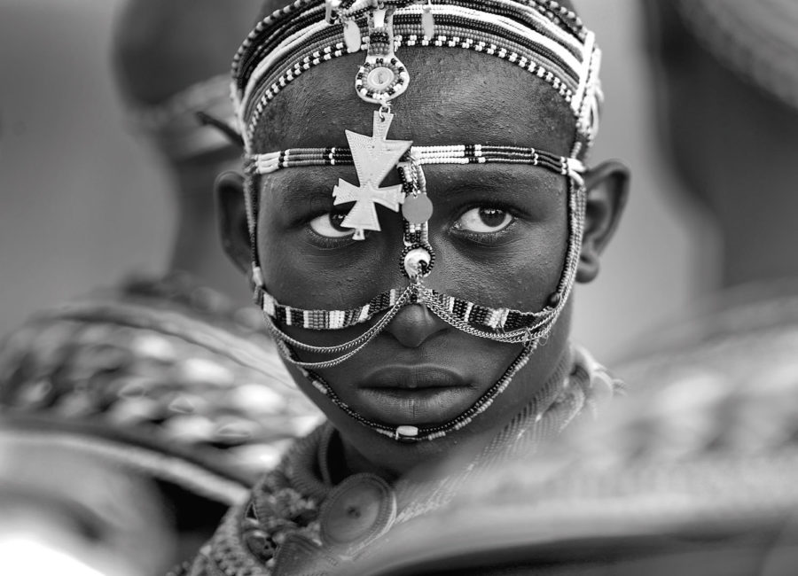 Choose Me | Steve Russell Gallery